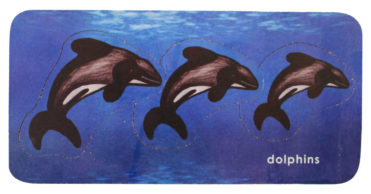 Wooden Dolphins Seriation Puzzle – Kiwi Made Toys