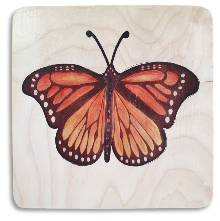 Wooden Monarch Butterfly First Puzzle – Kiwi Made Toys